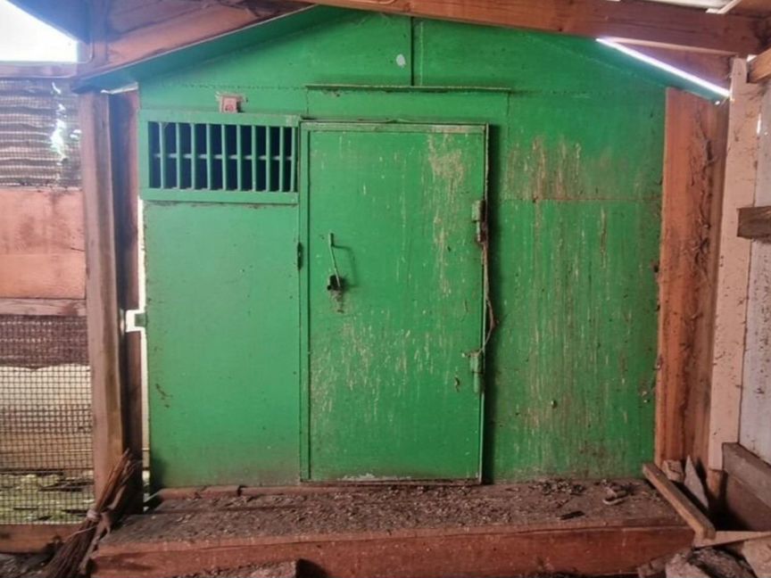 Голубятня для голубей