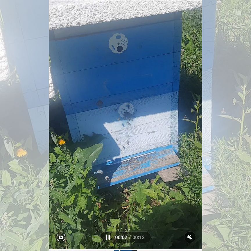 Продам ульи для пчел бу