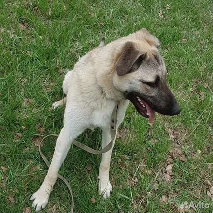 Пропадает нежность и любовь