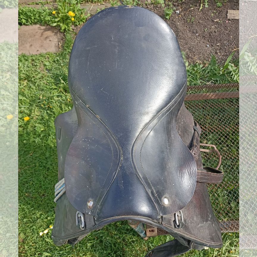 Конная амуниция