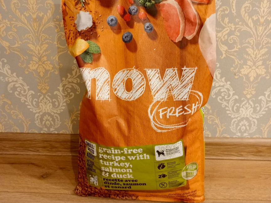 Корм для собак now fresh