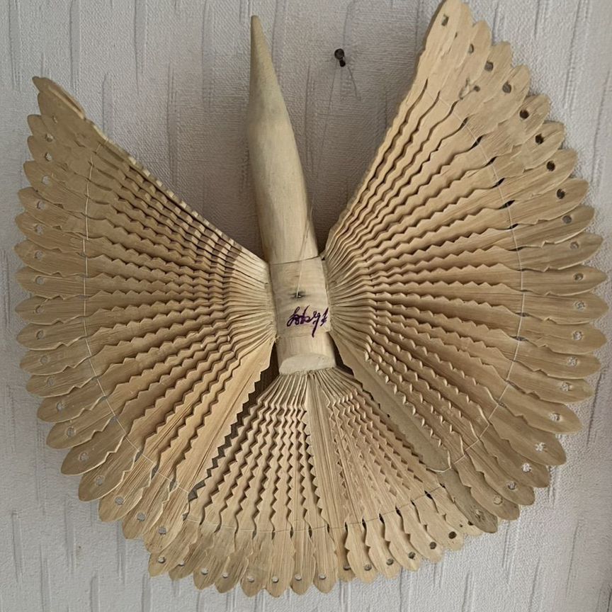 Декоративные птицы