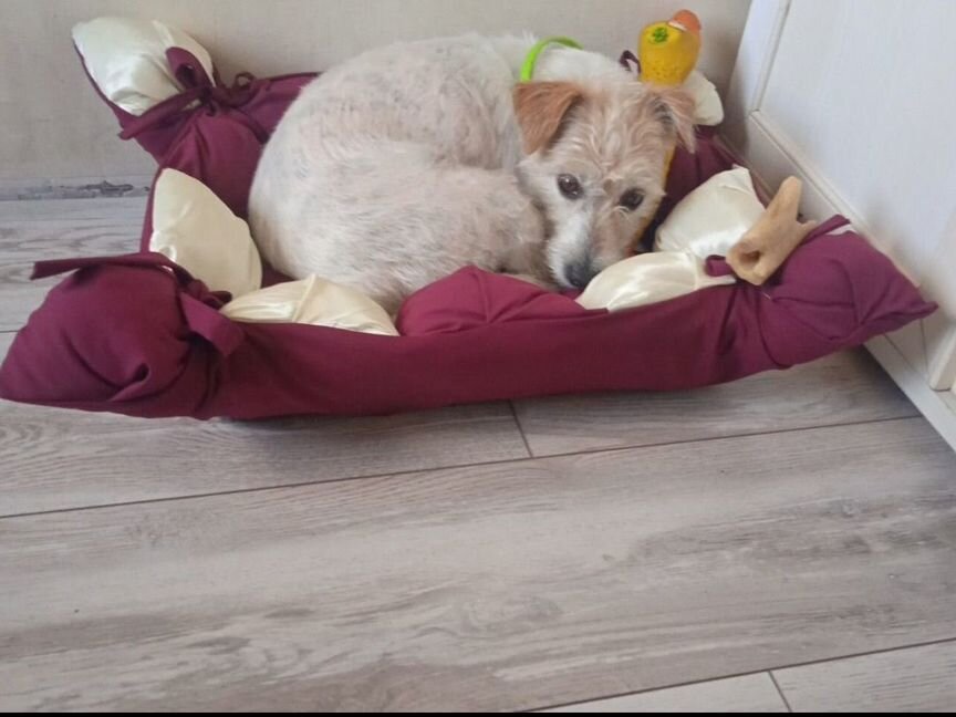 Лежанки новые