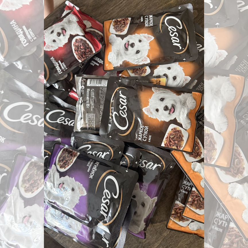 Влажный корм для собак cesar цезарь