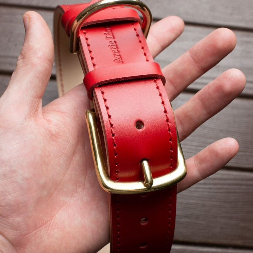 Ошейник для собак