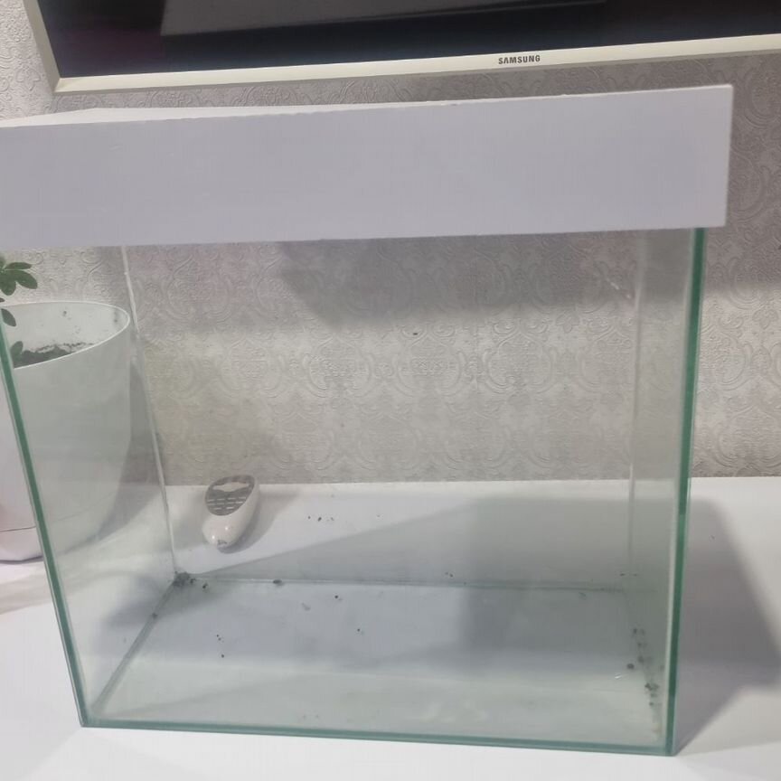 Аквариумные рыбки