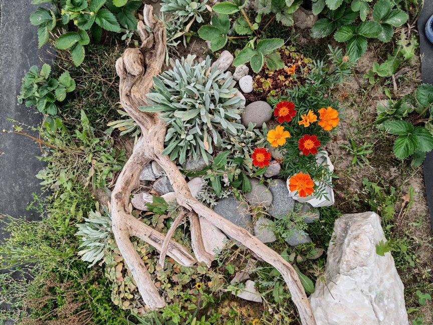 Коряги для аквариума в ассортименте