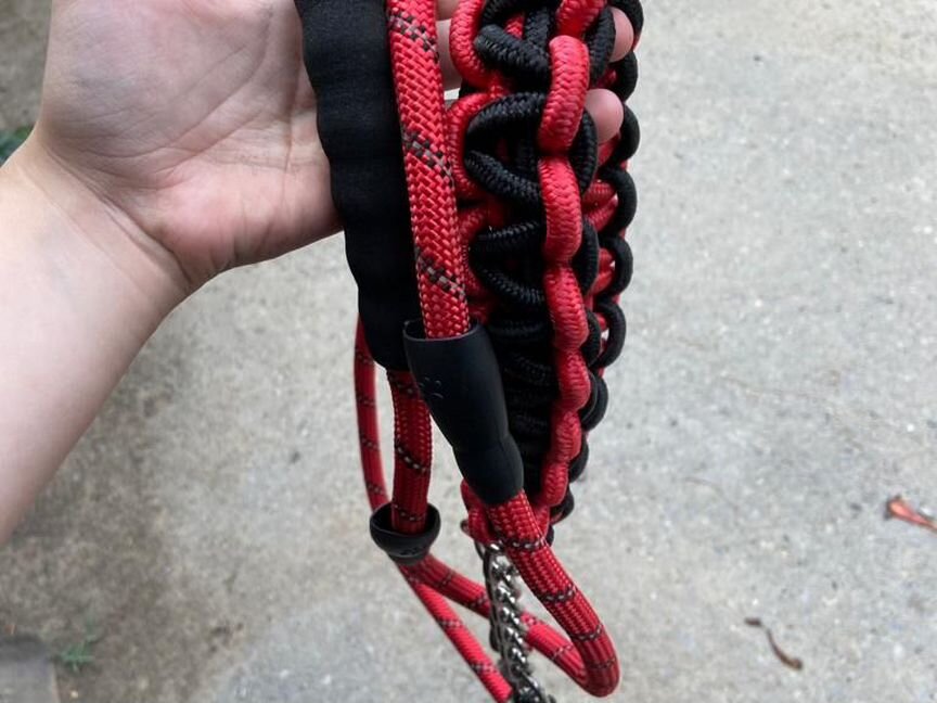 Ошейник и поводок