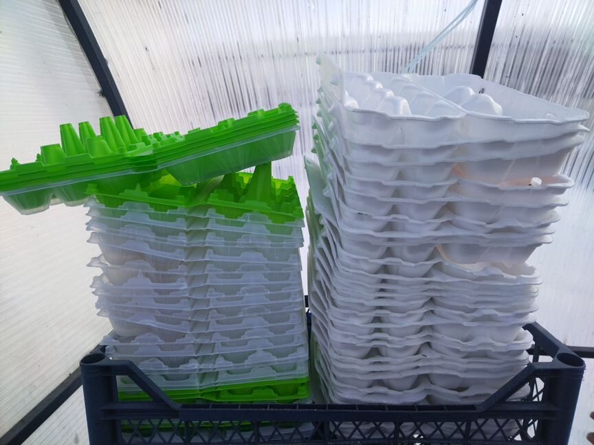 Лотки для яиц