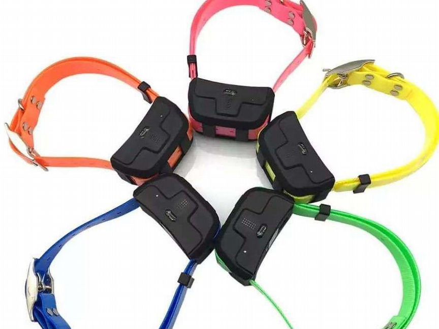 Tracker для охотничьей собаки