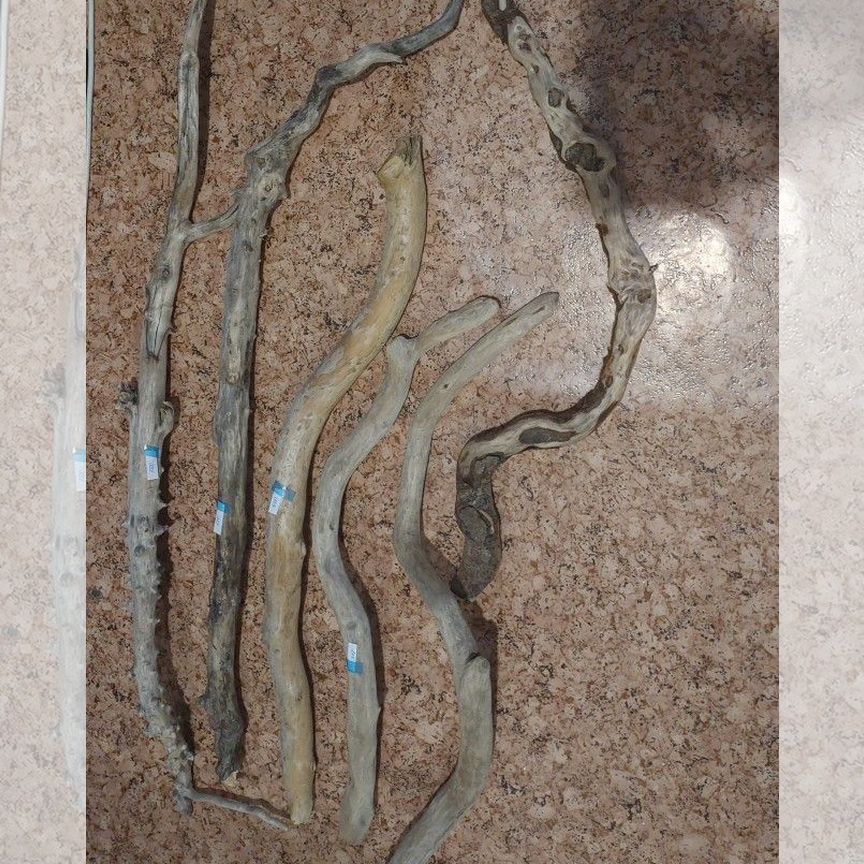 Натуральные природные коряги