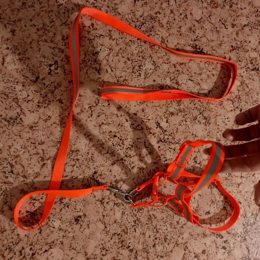 Шлейка для кошки