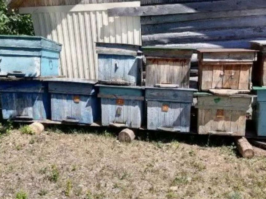 Ульи, рамки