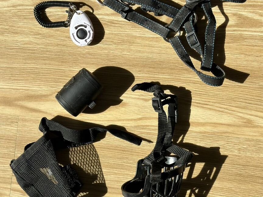 Амуниция для собак