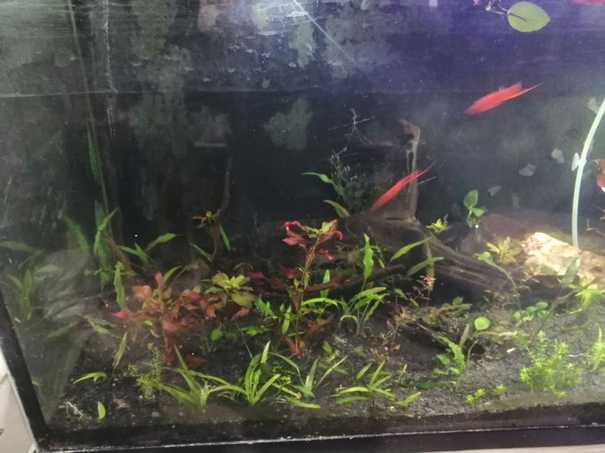 Аквариум 400 литров