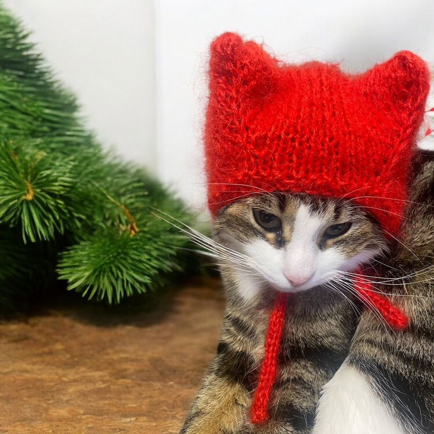 Шапка для собак,кошек