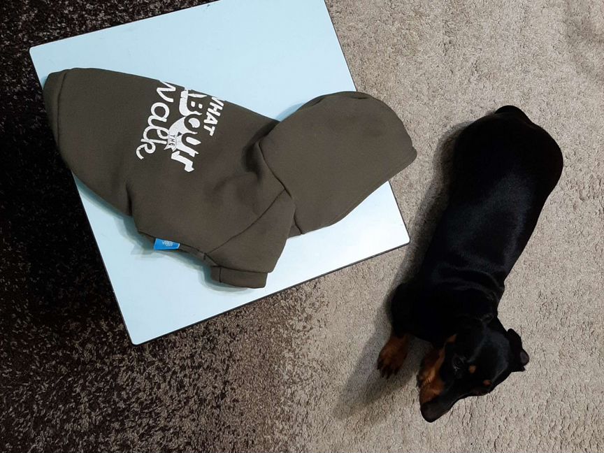 Кофта для собак