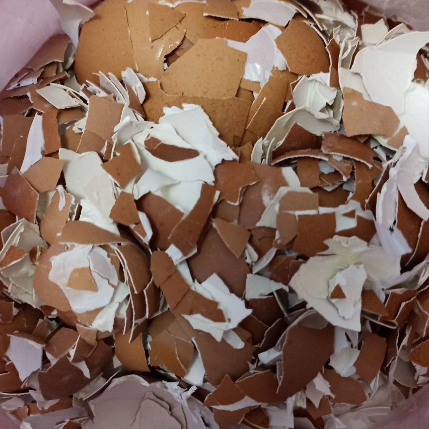 Яичная скорлупа