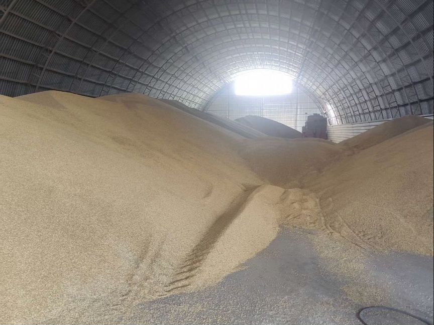 Зерносмесь овёс