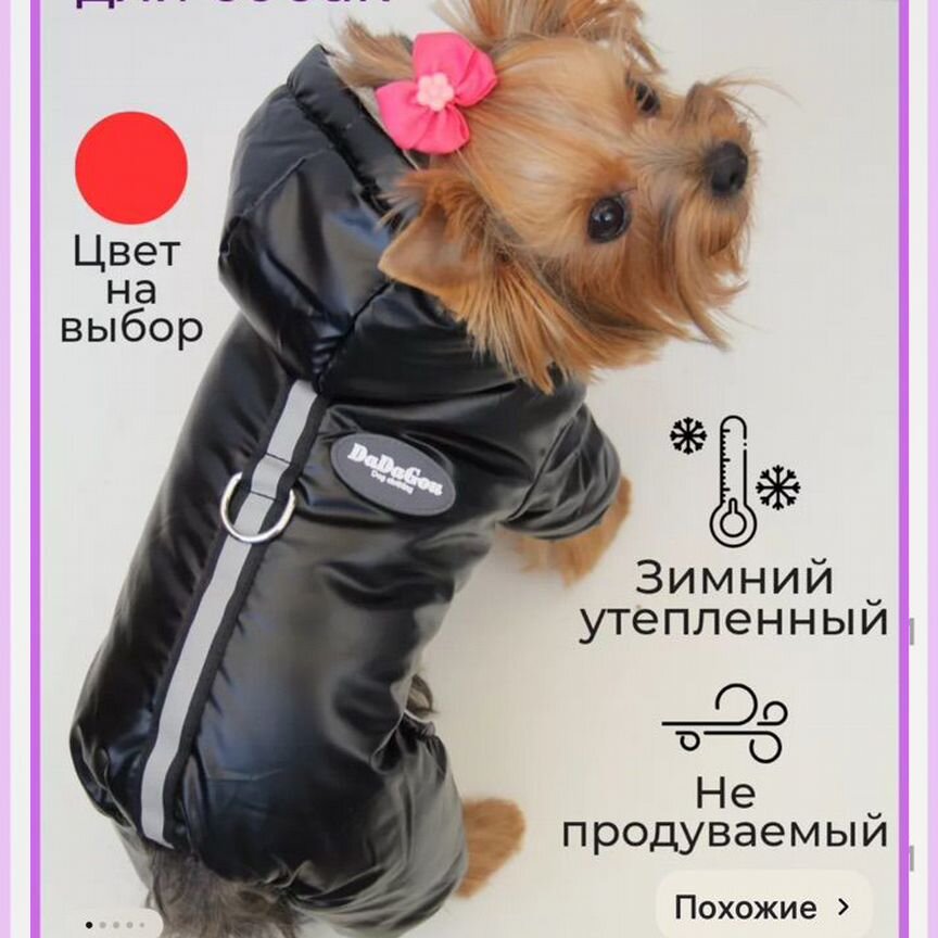 Костюм для маленькой собаки