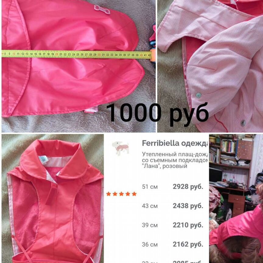 Одежда для маленьких собак