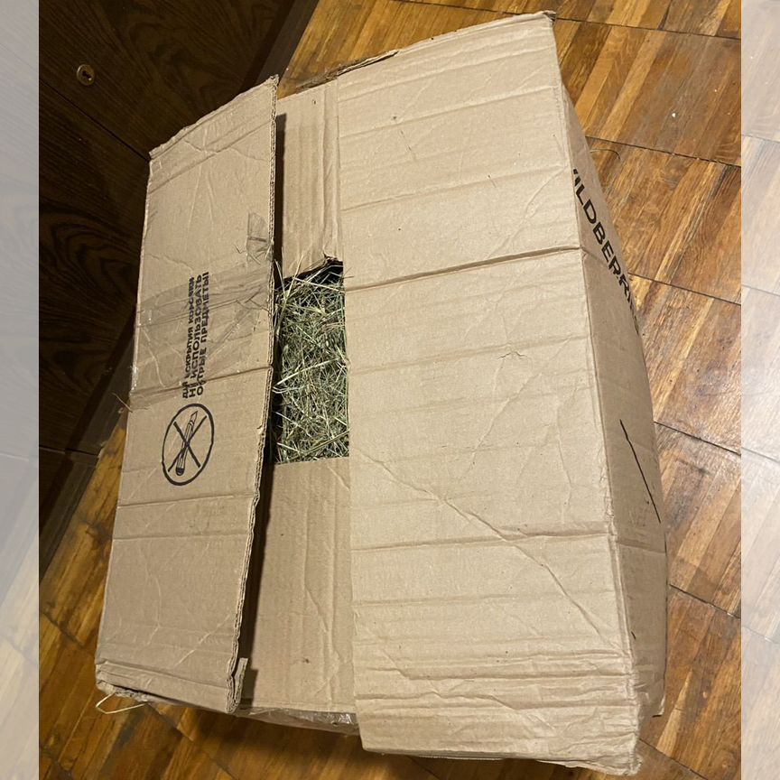 Сено в коробке