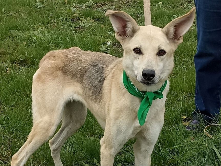 Не дайте звездочке потухнуть, помогите Барби