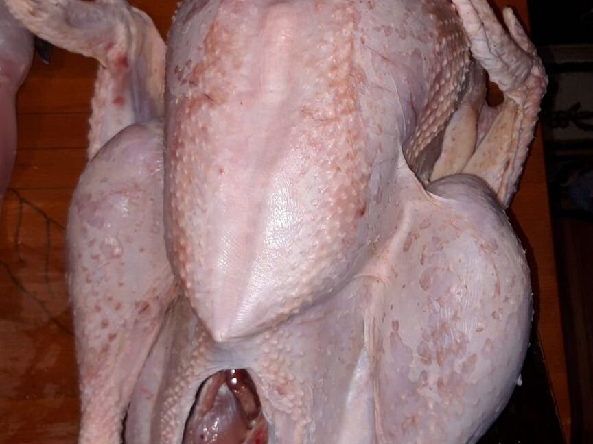 Продам мясо индюков тушки от 7кг 500р