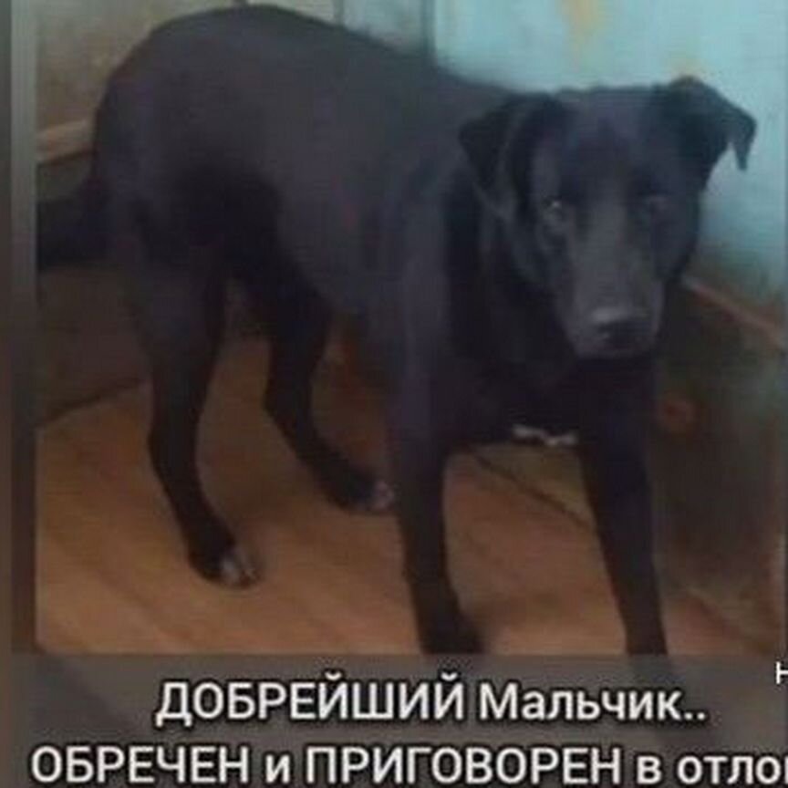 Ему нужна семья у нас мало времени