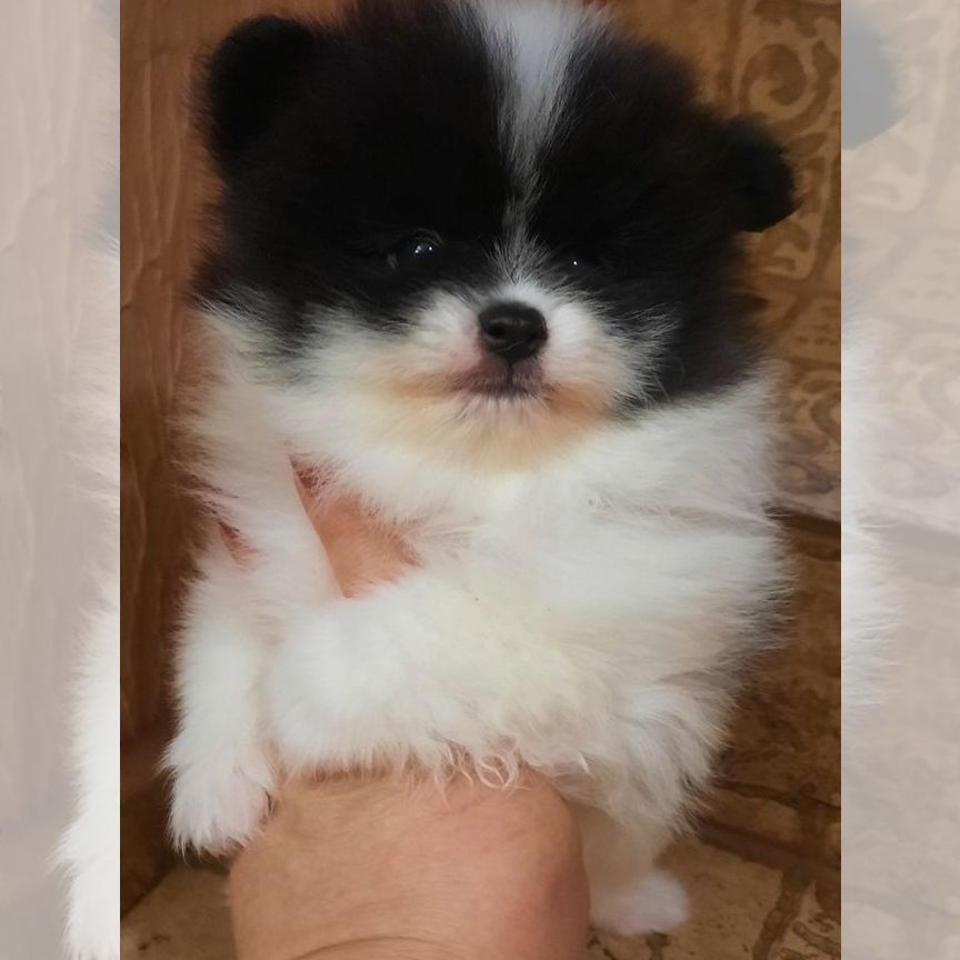 Малышок красавчик