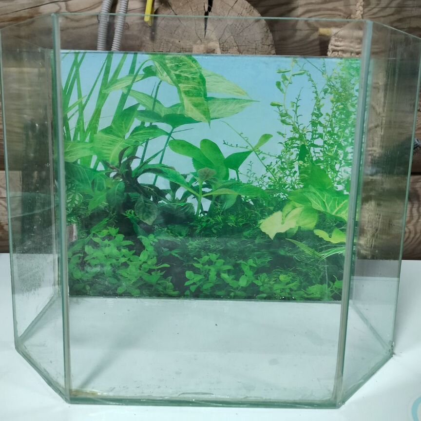 Аквариум на 20 литров