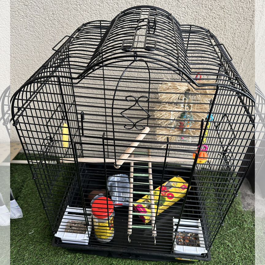Клетка для попугая коррелла или другой птицы