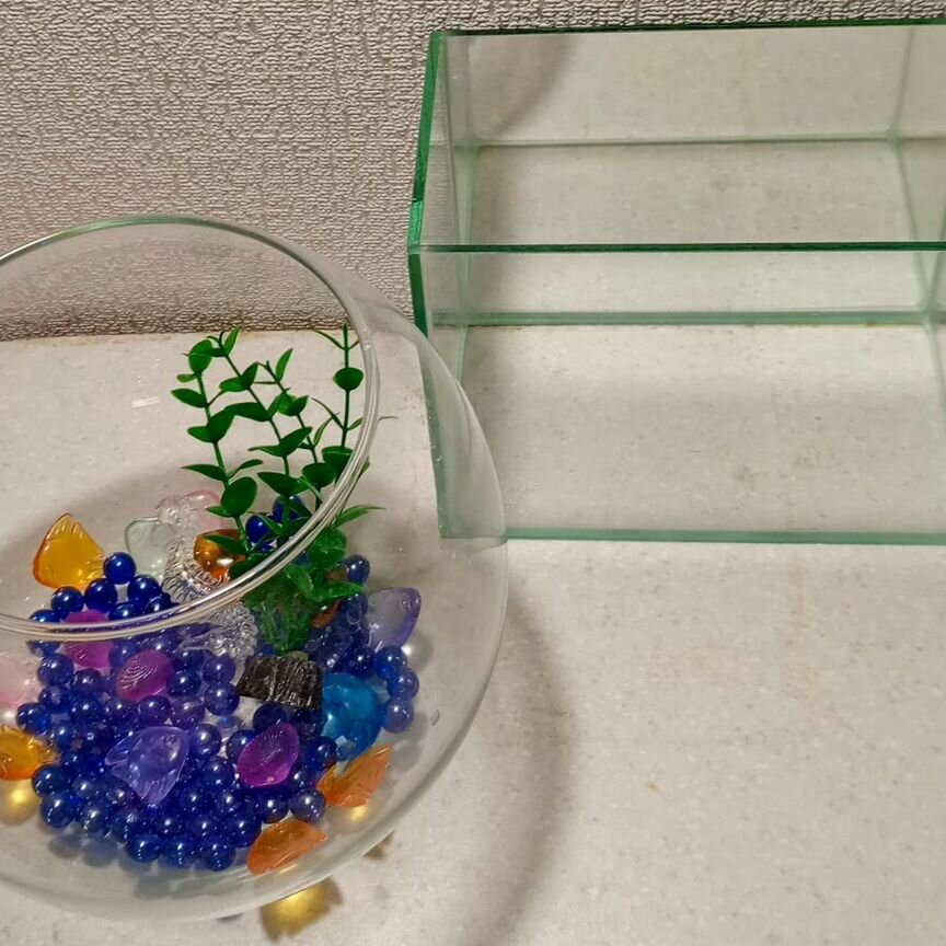 Аквариумы для маленьких рыбок