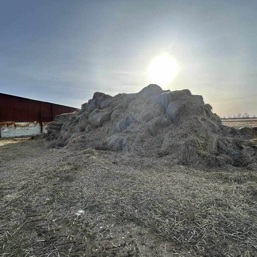 Солома в рулонах