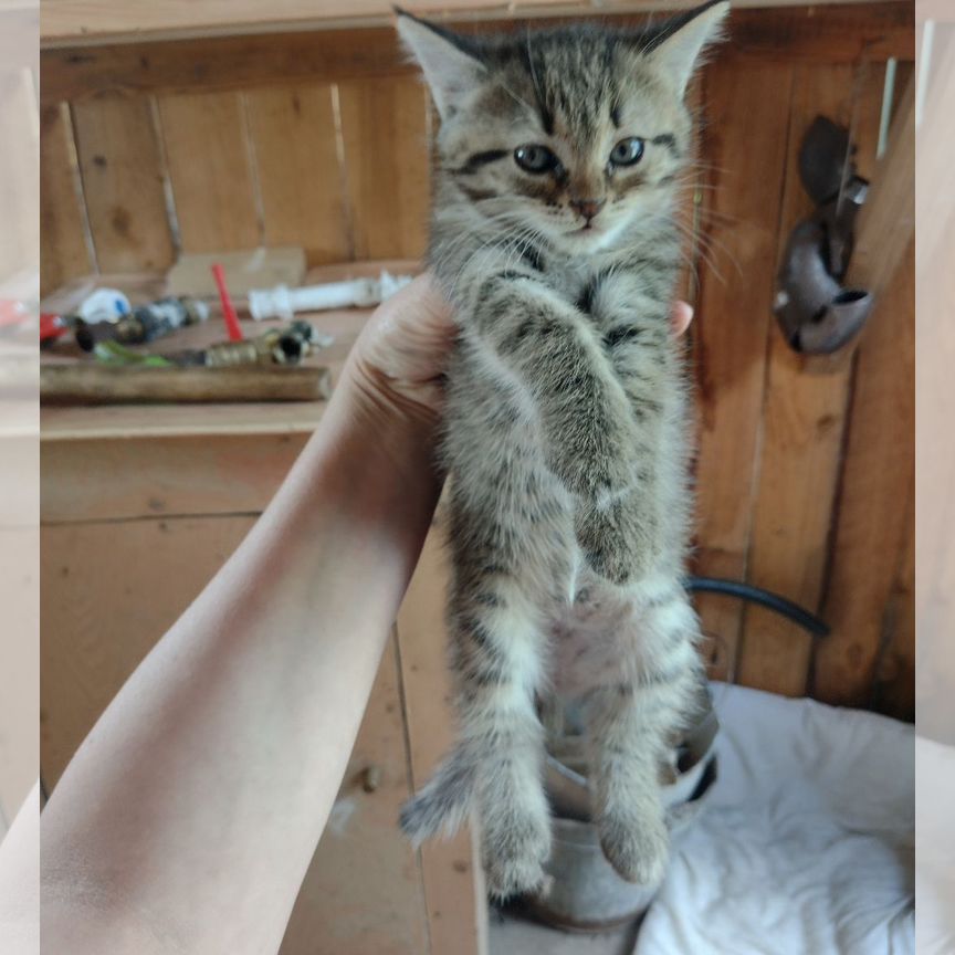 Маленький мальчишка