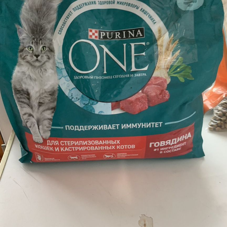 Корм для кошек