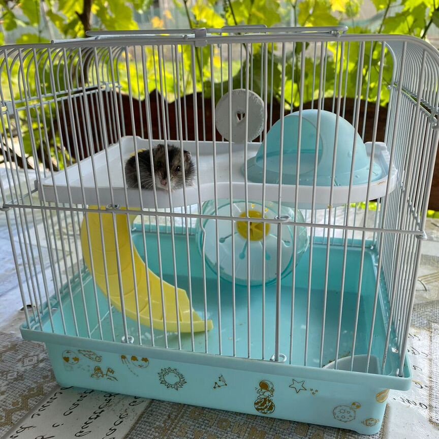 Клетка для хомика