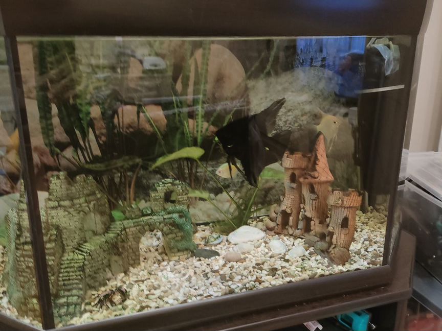 Продам аквариум 150 л