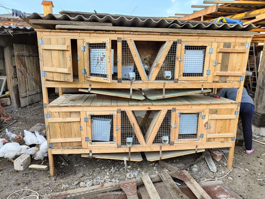 Клетки для кроликов, крольчатник