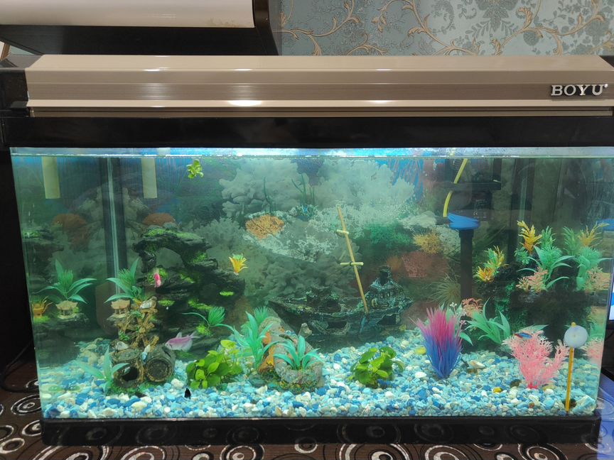 Аквариум boyu