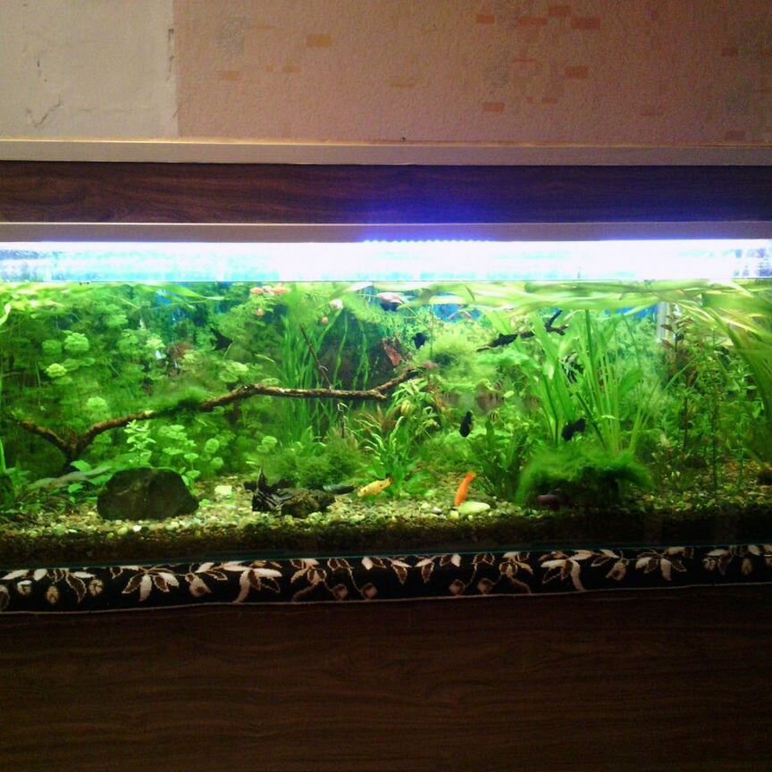 Аквариум 400 литров травник