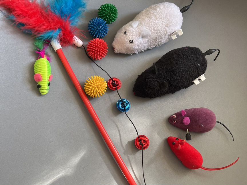 Игрушки для кошек пакетом мыши шарики дразнилки