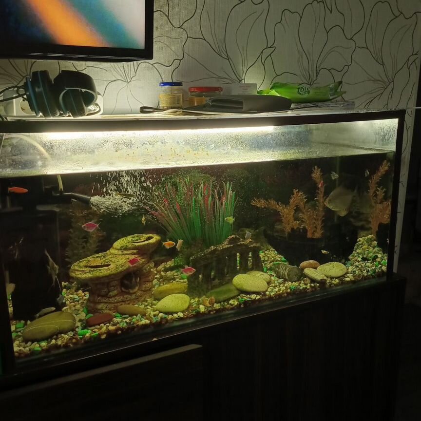 Аквариум