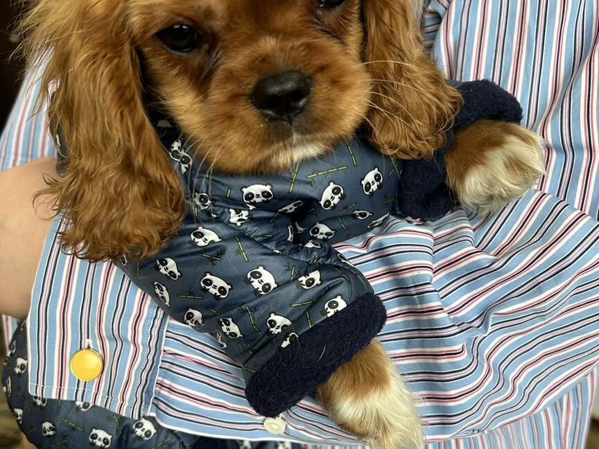 Подарок для себя Любимой