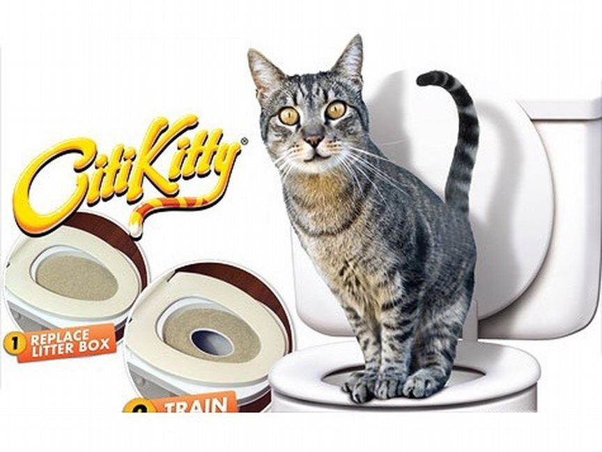 Система для приучения