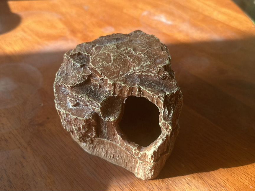 Влажная камера для террариума эублефар