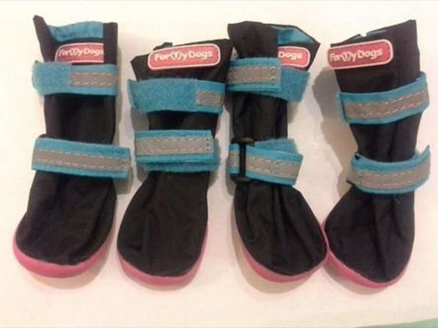 Сапоги для собаки