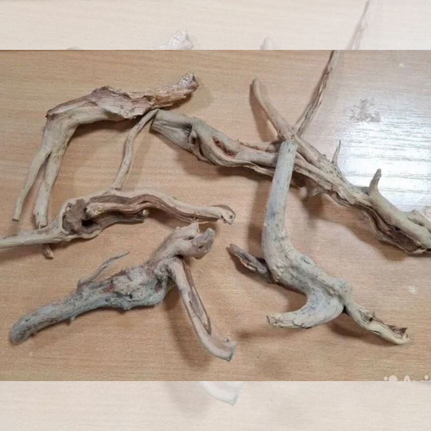 Коряги для аквариума/террариума
