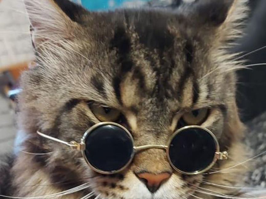 Мэйкун вязка