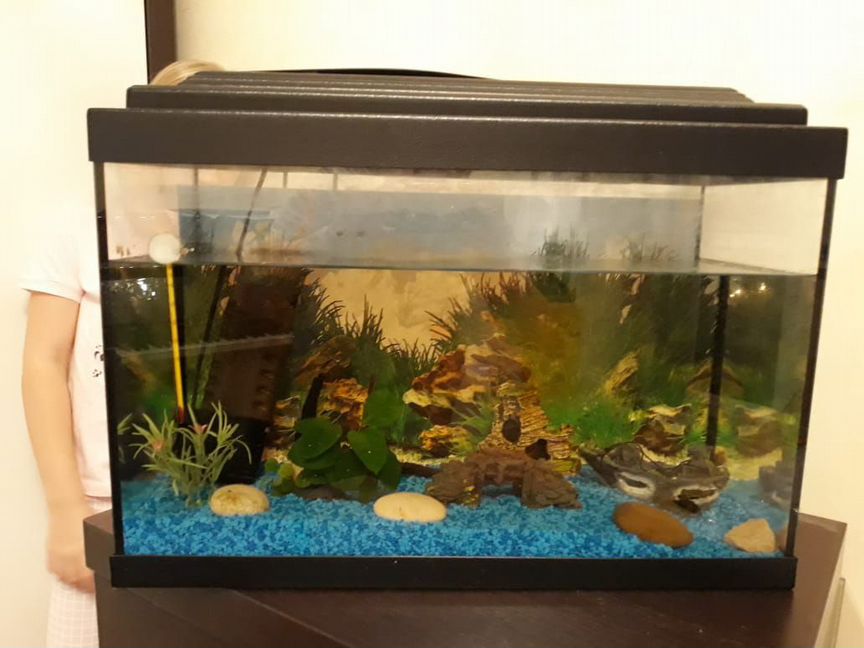 Аквариум для рыбок со всем необходимым